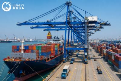 China All Lines Logistics DDP Sea Shipping With Professional Tracking Service for UK for sale
