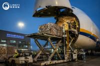 China Professional DDP Air Shipping to BH Bahrain for General Goods in 9-13 Days for sale