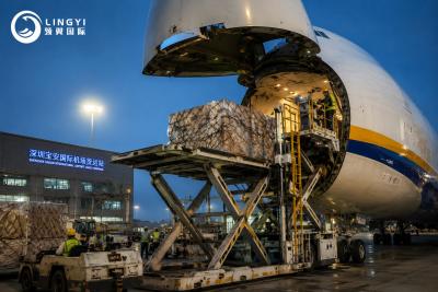 China Professional DDP Air Shipping to BH Bahrain for General Goods in 9-13 Days for sale