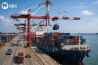 China COSCO Carrier Storage Service DDP Sea Shipping from China to Canada for General Goods for sale