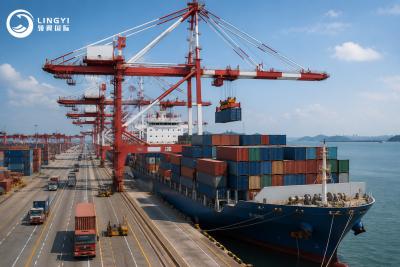 China COSCO Carrier Storage Service DDP Sea Shipping from China to Canada for General Goods for sale