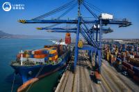 China ZIM/COSCO Carrier Available Shipping Service From China Dangerous Goods Consultation for sale