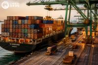 China China to Canada Sea Freight DDP Logistics for Oversized Cargo and FCL Shipments for sale