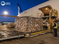 China China to Italy MXP Air Freight Service for Machinery Furniture and Commercial Cargo for sale