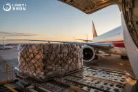China CZ/ET/MS Carrier Air Freight Shipping from China to United Kingdom DDP Door to Door Service for sale