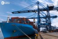 China Logistics Service Economic Sea Transportation Services in 45 Days Shipment Dispatch Time for sale