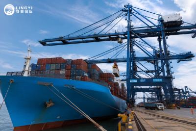 China Logistics Service Economic Sea Transportation Services in 45 Days Shipment Dispatch Time for sale