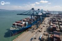 China Custom Origin Storage Full Truckload Carriers with FOB EXW CIF DDU DDP Trading Term for sale