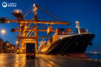 China Affordable China to Canada Ocean Freight Forwarding with Warehouse Consolidation Service for sale
