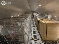 China Global Logistics China to USA Container Shipping Service for Import Export Business for sale