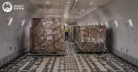 China USA Air Express 5-day pickup Sensitive & Battery Cargo, DDP, Express Delivery (UPS):Pickup in 5–8 calendar days after departure for sale
