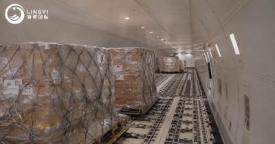 China Affordable China to USA Ocean Freight Forwarding with Warehouse Consolidation Service for sale