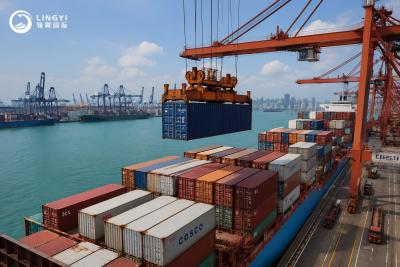 China China to USA Ocean Freight Cargo Shipping DDP | Complete Door Delivery Service for sale