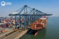 China Professional Ocean Freight DDP Shipping from China to USA for Heavy Machinery Cargo for sale