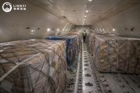 China Urgent Oversized Shipments: China-to-US Air Delivery in 9-13 Days with Fast End Delivery for sale