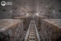 China Stress-Free Logistics: We Handle Your China-to-US Large Item Imports | Air Freight for sale