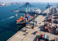 China China to USA Sea Freight: Professional DDP Door-to-Door Shipping for Oversized Cargo for sale