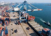 China Oversized Cargo Shipping from China to USA: Reliable DDP Sea Freight Services for sale