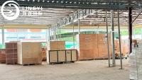 China China-to-Lázaro Cárdenas,Mexico Heavy-Lift Maritime Transport: All-Inclusive Door-to-Door DDP for sale
