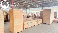 China Oversized Industrial Cargo Sea Freight: China to Poland | DDP Customs Cleared Delivery for sale