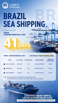 China Electric Scooter Battery Shipping | China to Brazil Fast Customs Clearance | Sea Freight for sale