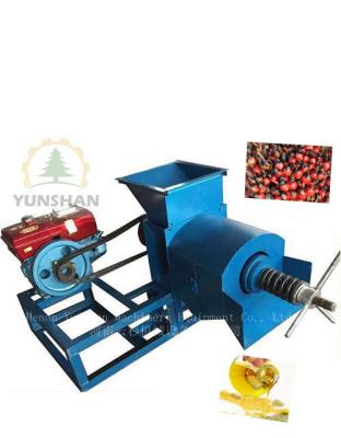 China High Efficiency Palm Fruit Palm Kernel Oil Press Machine Palm Oil Press Seed Oil Pressing Machine for sale