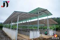 China Drawing Design Autocad Prefabricated Steel Structure Farm for Dairy Cow Shed for sale