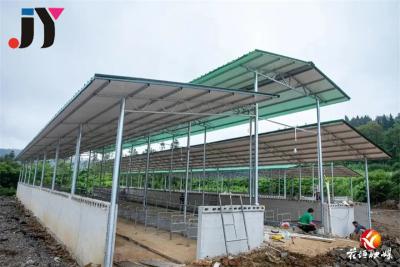 China Drawing Design Autocad Prefabricated Steel Structure Farm for Dairy Cow Shed for sale