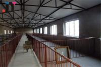 China Drawing Design Autocad Prefabricated Steel Structure Farm for Dairy Cow Shed for sale