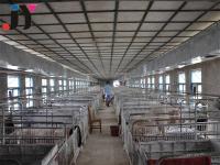 China Drawing Design Autocad Prefabricated Steel Structure Farm for Dairy Cow Shed for sale