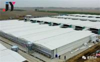 China 50m2 Steel Structure Livestock Shelter for Live Cattle and Goat Shed Bolt Connection for sale