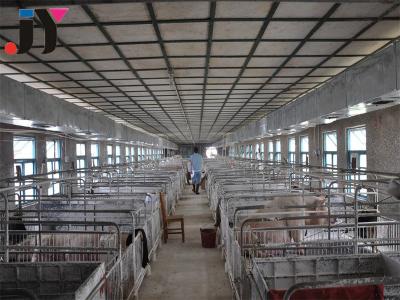 China Steel Column Light Steel Structure Cow Shed for Cattle Raising Farming Construction for sale