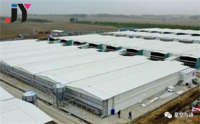 China Environmental Protection Steel Structure Dairy Cow Shed House Farm Design for 50m2 for sale