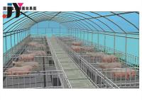 China Painted Cow Farming Steel Structure Cattle House for Dairy Cow Shed Construction Q235 for sale