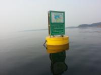 China River Buoy Inside PU Density 35kg/Cub for Marine Water Monitoring and Navigation for sale