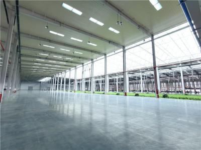 China Hot-Rolled Steel Modular Prefabricated Warehouse Building with Site Installation Service for sale