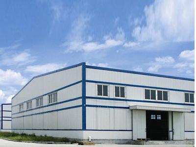 China Strength Steel Prefabricated Building Steel Structure for Warehouse/Workshop/Hall/Hangar for sale