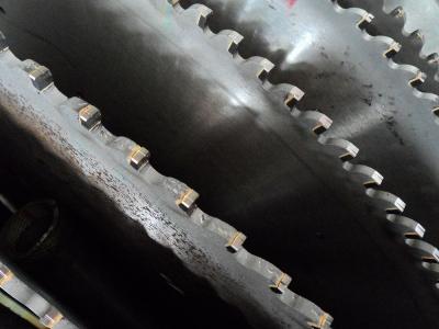 China 1600mm Carbide Tipped Saw Blade 140 Teeth Alloy Steel for Precision Cutting for sale
