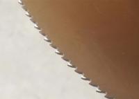China CNC 4 Axis HSS Saw Blade Automatic Sharpening Grinding Machine 250-600mm for sale