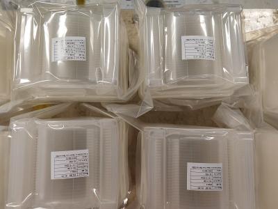 China Fused Silica Wafer 350um 500um 1000um High Purity Quartz Wafer for Semiconductor Optics for sale