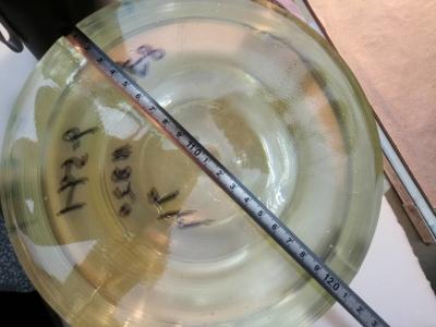 China High-Purity Stoichiometric LiTaO3 Wafers 4 Inch for SAW Devices and Optical Modulators for sale