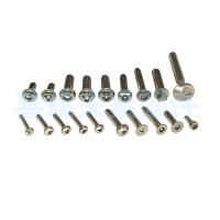 China plum blossom anti-theft screw Inner pentagon for sale