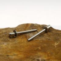 China Thread Electroplating Stainless Steel Pull Rivet Cold Heading Crafts for sale