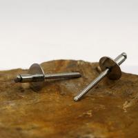 China Thread Electroplating Stainless Steel Pull Rivet Cold Heading Crafts for sale