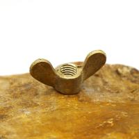 China Cold Forming Customized Stainless Steel Wing Nut GB AMSE BS for sale