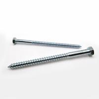 China DIN571 Customization Hex Wood Screws Stainless Steel Material for sale