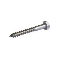 China Cold Forging Customized Stainless Steel Hex Wood Screw DIN571 Standard for sale