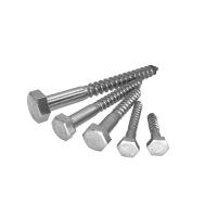 China Cold Forging Customized Stainless Steel Hex Wood Screw DIN571 Standard for sale