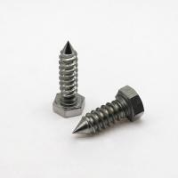 China Cold Forging Customized Stainless Steel Hex Wood Screw DIN571 Standard for sale