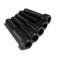 China High Strength Custom Stainless Steel Hex Socket Screws AMSE DIN Standard for sale